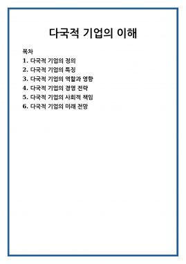 다국적 기업의 이해-1페이지