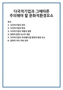 다국적기업과 그에따른 주의해야 할 문화적환경요소-1페이지