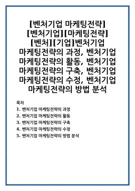 [벤처기업 마케팅전략][벤처기업][마케팅전략][벤처][기업]벤처기업 마케팅전략의 과정, 벤처기업 마케팅전략의 활동, 벤처기업 마케팅전략의 구축, 벤처기업 마케팅전략의 수정, 벤처기업 마케팅전략의 방법 분석-1페이지
