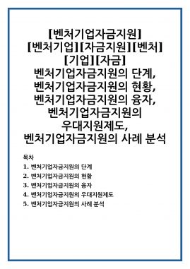 [벤처기업자금지원][벤처기업][자금지원][벤처][기업][자금]벤처기업자금지원의 단계, 벤처기업자금지원의 현황, 벤처기업자금지원의 융자, 벤처기업자금지원의 우대지원제도, 벤처기업자금지원의 사례 분석-1페이지