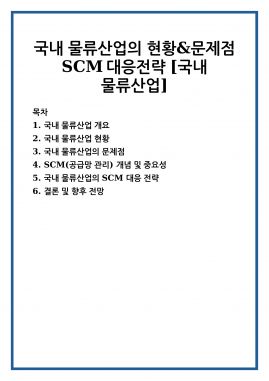 국내 물류산업의 현황&문제점SCM대응전략 [국내 물류산업]-1페이지