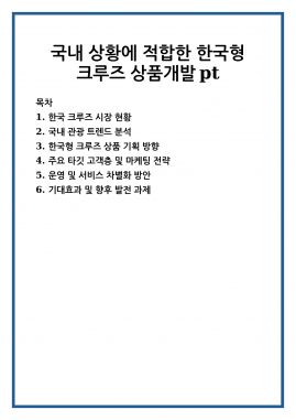 국내 상황에 적합한 한국형 크루즈 상품개발pt-1페이지