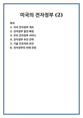미국의 전자정부 (2)-1페이지