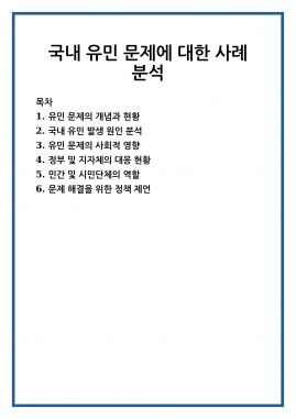 국내 유민 문제에 대한 사례 분석-1페이지