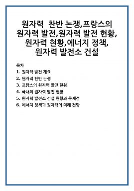 원자력  찬반 논쟁,프랑스의 원자력 발전,원자력 발전 현황,원자력 현황,에너지 정책,원자력 발전소 건설-1페이지