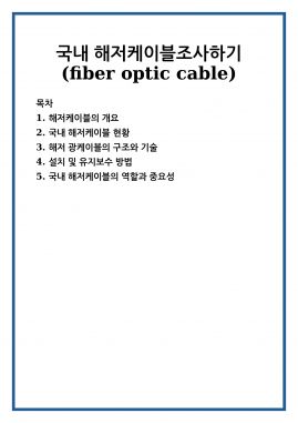 국내 해저케이블조사하기(fiber optic cable)-1페이지