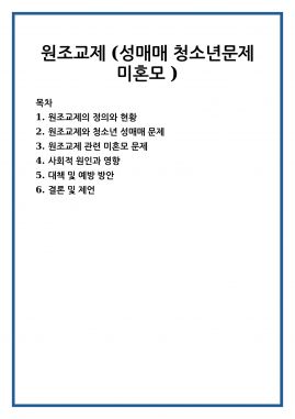 원조교제 (성매매 청소년문제 미혼모 )-1페이지