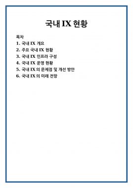 국내IX현황 레포트 자료-1페이지