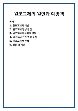 원조교제의 원인과 예방책-1페이지