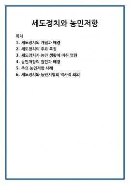 세도정치와 농민저항-1페이지
