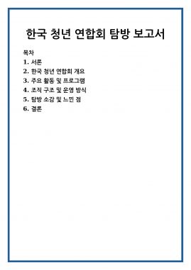 한국 청년 연합회 탐방 보고서-1페이지