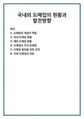 국내외 도매업의 현황과 발전방향-1페이지