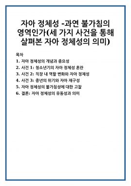 자아 정체성 -과연 불가침의 영역인가(세 가지 사건을 통해 살펴본 자아 정체성의 의미)-1페이지
