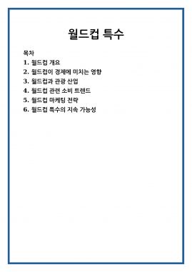 월드컵 특수 레포트 자료-1페이지