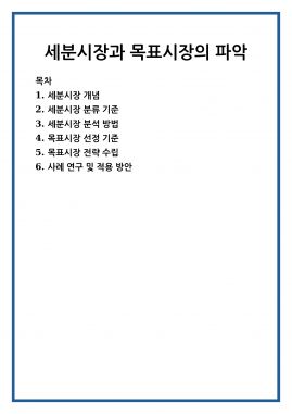 세분시장과 목표시장의 파악-1페이지
