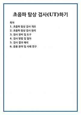 초음파 탐상 검사(UT)하기-1페이지