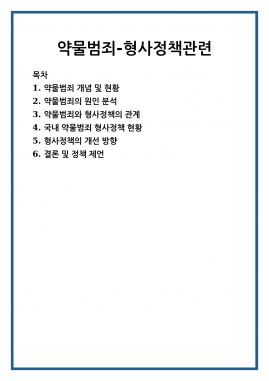 약물범죄-형사정책관련-1페이지