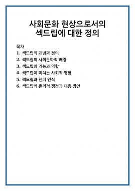 사회문화 현상으로서의 섹드립에 대한 정의-1페이지