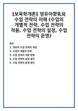 [보육학개론] 영유아嬰乳兒 수업 전략의 이해 (수업의 개별적 전략, 수업 전략의 적용, 수업 전략의 설정, 수업 전략의 운영)-1페이지