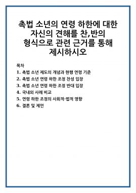 촉법 소년의 연령 하한에 대한 자신의 견해를 찬,반의 형식으로 관련 근거를 통해 제시하시오-1페이지