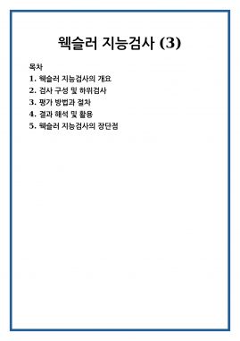 웩슬러 지능검사 (3)-1페이지