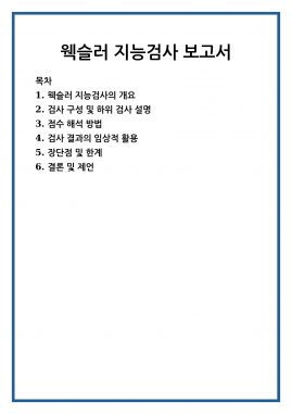 웩슬러 지능검사 보고서-1페이지