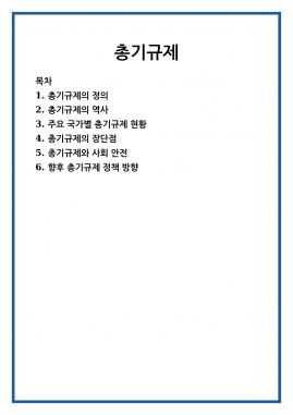 총기규제 레포트 자료-1페이지