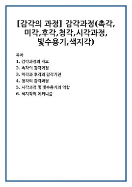 [감각의 과정] 감각과정(촉각,미각,후각,청각,시각과정,빛수용기,색지각)-1페이지