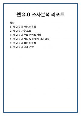 웹2.0 조사분석 리포트-1페이지