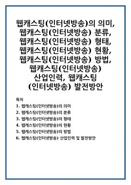 웹캐스팅(인터넷방송)의 의미, 웹캐스팅(인터넷방송) 분류, 웹캐스팅(인터넷방송) 형태, 웹캐스팅(인터넷방송) 현황, 웹캐스팅(인터넷방송) 방법, 웹캐스팅(인터넷방송) 산업인력, 웹캐스팅(인터넷방송) 발전방안-1페이지