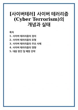[사이버테러] 사이버 테러리즘(Cyber Terrorism)의 개념과 실태-1페이지