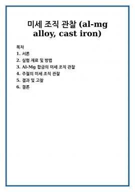 미세 조직 관찰 (al-mg alloy, cast iron)-1페이지