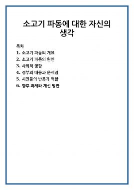 소고기 파동에 대한 자신의 생각-1페이지