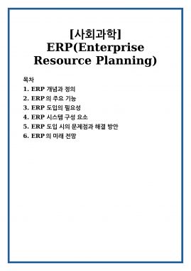 [사회과학] ERP(Enterprise Resource Planning)-1페이지