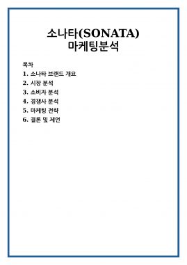소나타(SONATA) 마케팅분석-1페이지