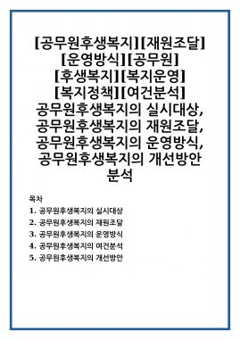 [공무원후생복지][재원조달][운영방식][공무원][후생복지][복지운영][복지정책][여건분석]공무원후생복지의 실시대상, 공무원후생복지의 재원조달, 공무원후생복지의 운영방식, 공무원후생복지의 개선방안 분석-1페이지