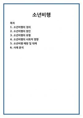 소년비행 레포트 자료-1페이지
