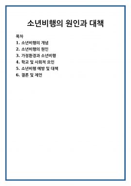 소년비행의 원인과 대책-1페이지