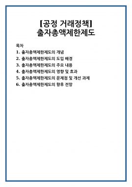 [공정 거래정책] 출자총액제한제도-1페이지