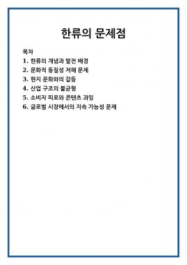 한류의 문제점-1페이지