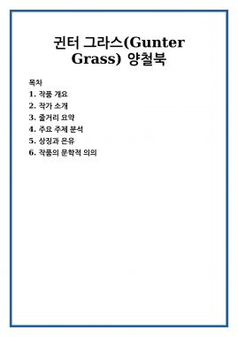 귄터 그라스(Gunter Grass) 양철북-1페이지