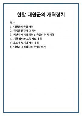 한말 대원군의 개혁정치-1페이지