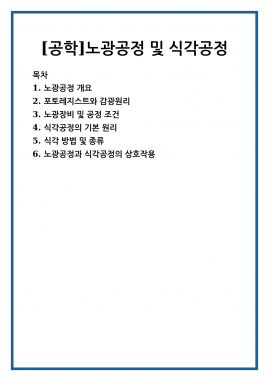 [공학]노광공정 및 식각공정-1페이지