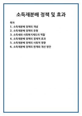 소득재분배 정책 및 효과-1페이지