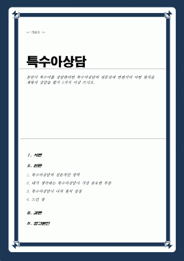 본인이 특수아를 상담한다면 특수아상담의 전문성과 연관지어 어떤 원칙을 세워서 상담을 할지 5가지 이상 쓰시오-1페이지