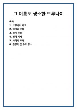 그 이름도 생소한 브루나이-1페이지