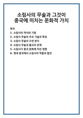 소림사의 무술과 그것이 중국에 미치는 문화적 가치-1페이지