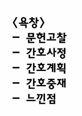욕창 연구레포트 - 욕창 문헌고찰과 간호사정,간호계획,간호중재 및 느낀점-1페이지