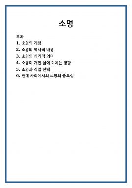 소명 레포트 자료-1페이지