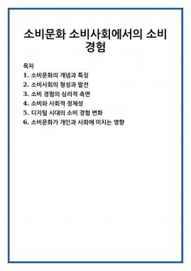 소비문화 소비사회에서의 소비 경험-1페이지
